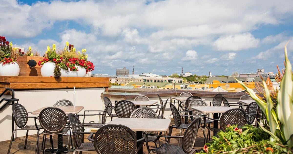 The Rooftop - Restaurant Management | Avocet Hospitality Group